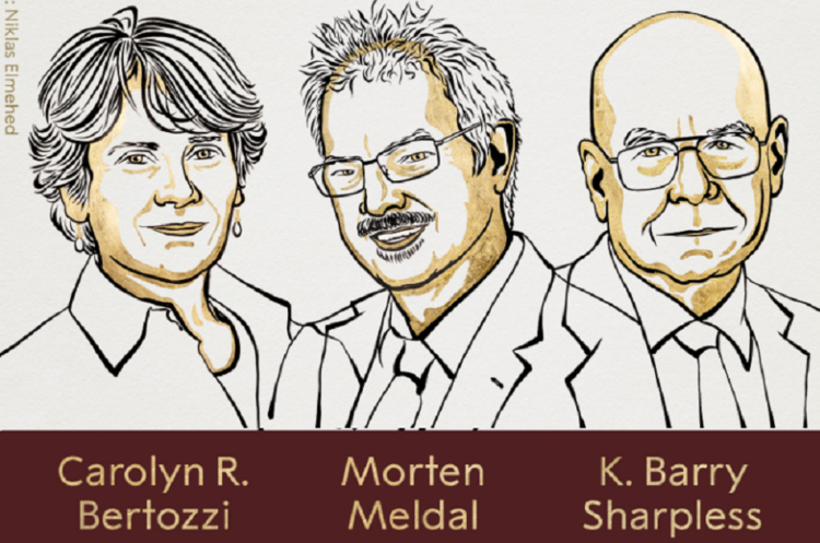 Otorgan el Premio Nobel de Química a Carolyn R. Bertozzi, Morten Meldal ...