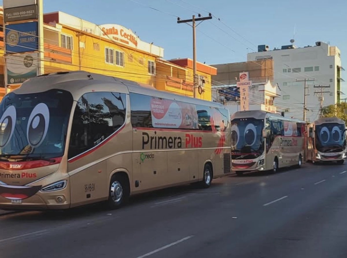Restablecen algunas corridas líneas de autobuses en 20 entidades del ...