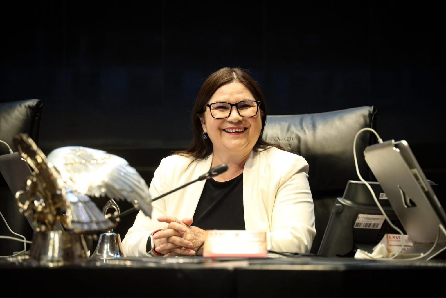 El destino me convoca: Imelda Castro solicita licencia al Senado por ...